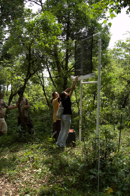 image gallery 1 | FogQuest: Sustainable Water Solutions