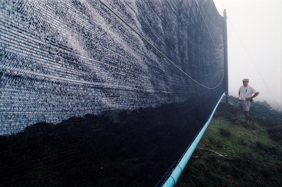 image gallery 1 | FogQuest: Sustainable Water Solutions