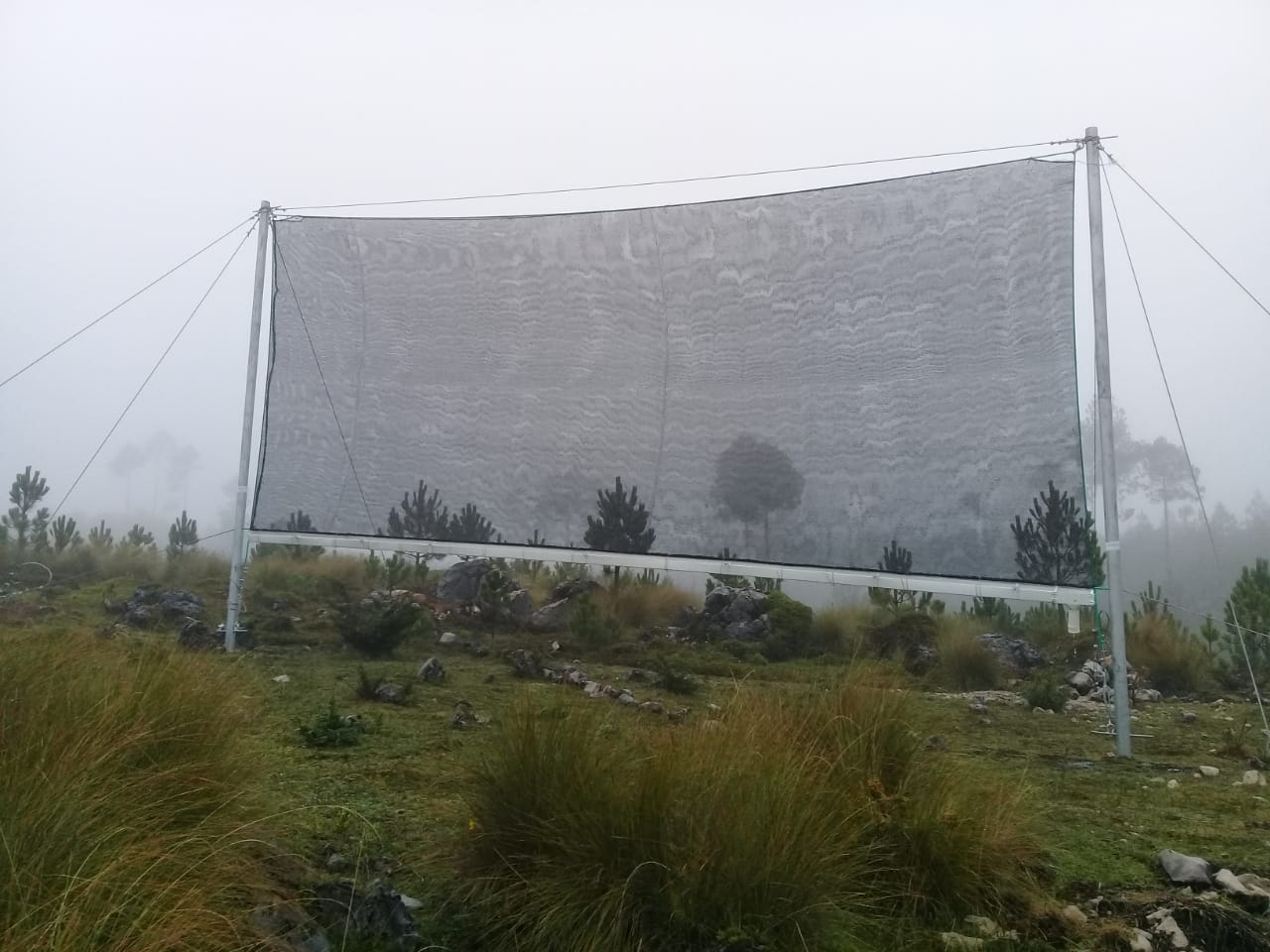 Latest News | FogQuest: Sustainable Water Solutions | Fog Collection ...